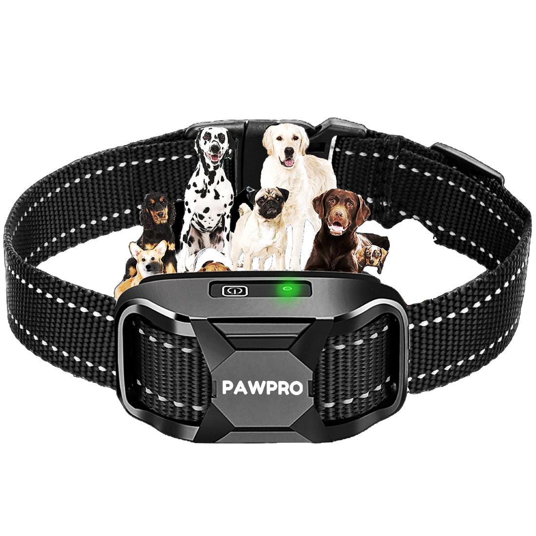 Collier de Dressage Conforme Nouvelle Loi - Modèle ALPHA1 – PAWPRO