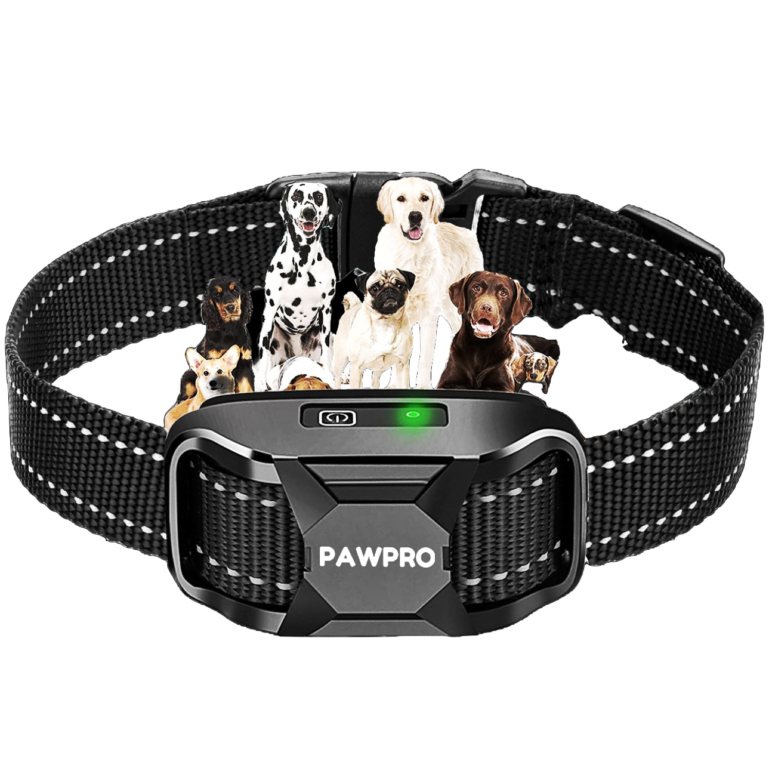 Collier de Dressage Conforme Nouvelle Loi - Modèle ALPHA1 – PAWPRO
