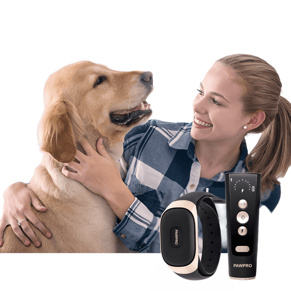 PAWPRO | Collier de Dressage pour Chien