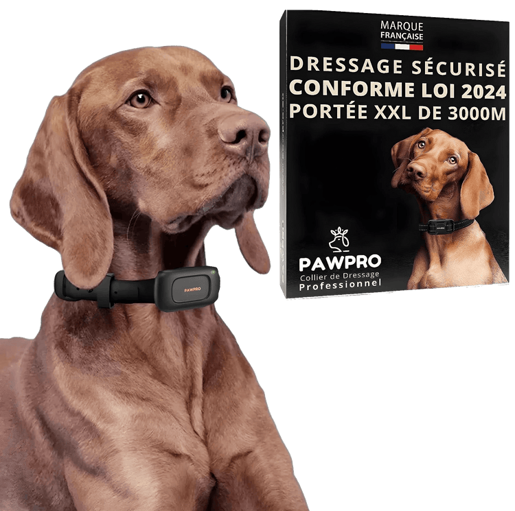 PAWPRO | Collier de Dressage pour Chien